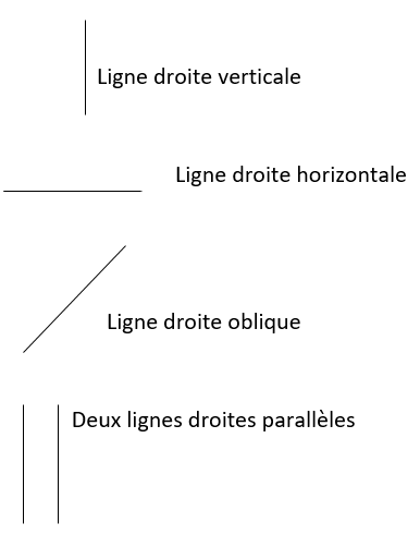 La Ligne Definition Sale | www.pacificproductsandservices.com